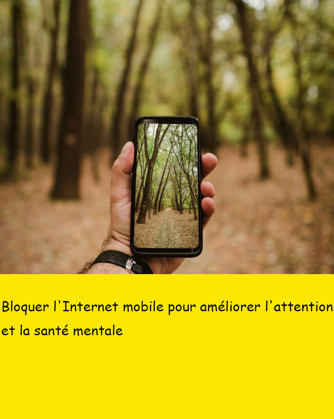 Bloquer l'Internet mobile améliorer l'attention et l'humeur: le rôle ...